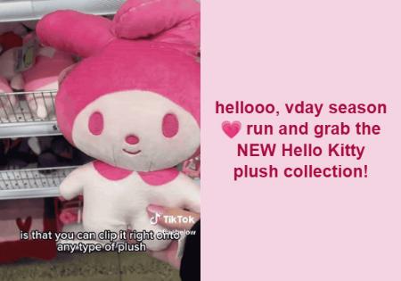 Outlets at the Dells ::: New Hello Kitty Plush Collection