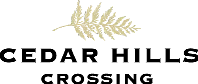 Cedar Hills Crossing ::: Spirit Halloween