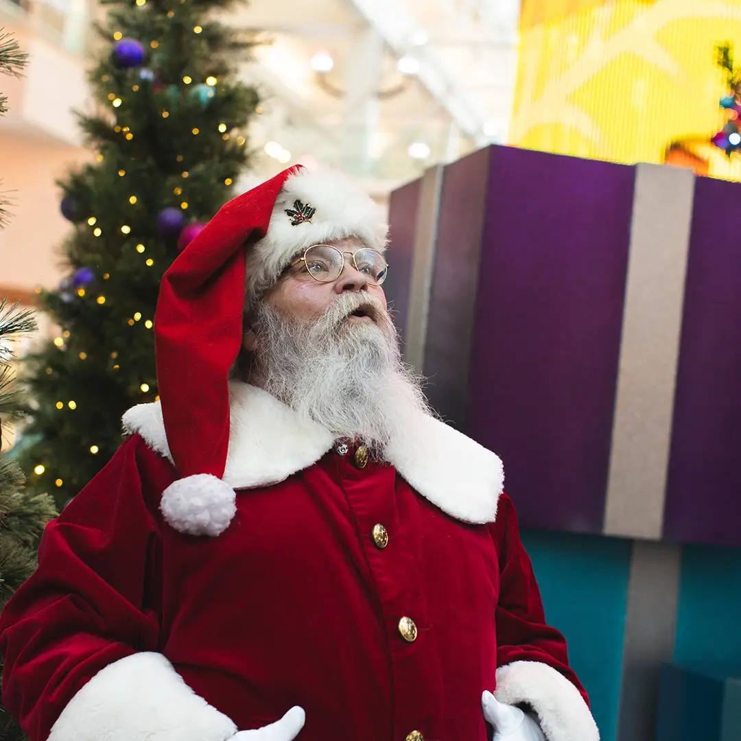 Arden Fair ::: Capture the Magic of the Season with Santa 🎄