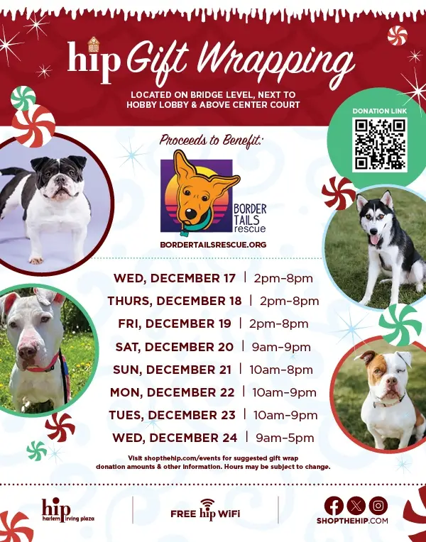 Harlem Irving Plaza ::: HIP Holiday Gift Wrap