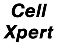 Lindale Mall ::: Directory