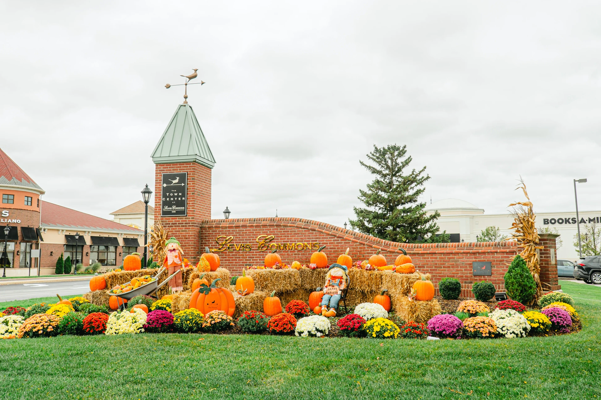THE TOWN CENTER AT LEVIS COMMONS ::: Shopping